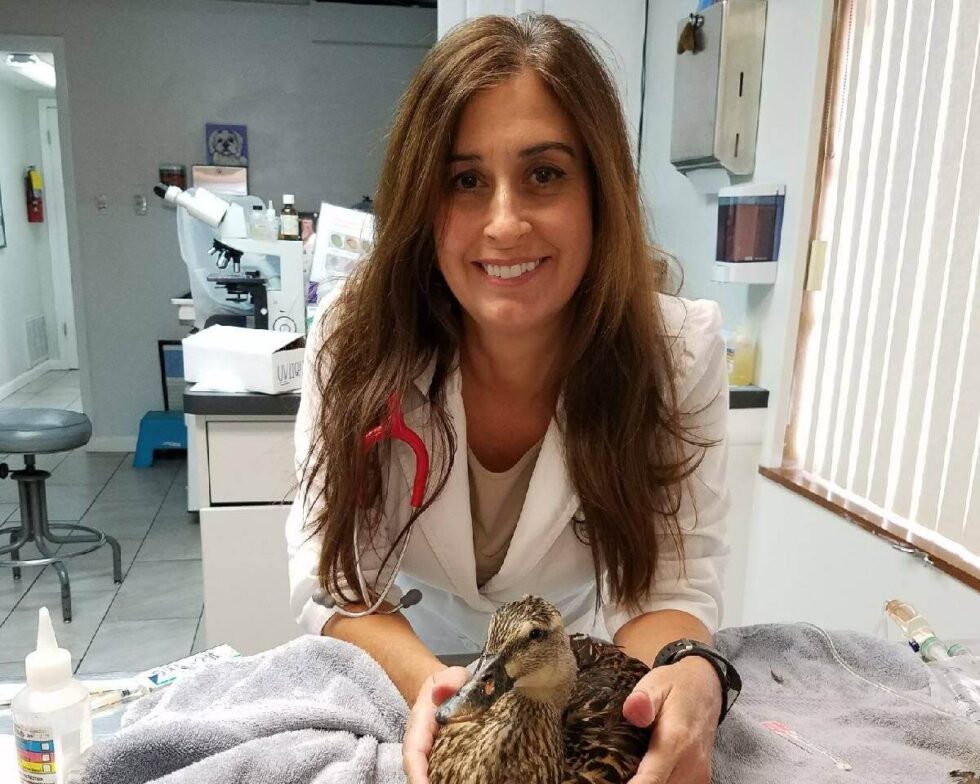Our Hospital - Love Animal Hospital