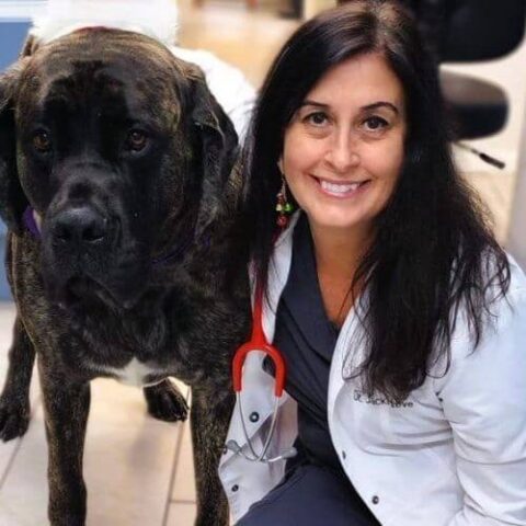 Our Hospital - Love Animal Hospital